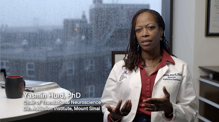 Screenagers Blog | Brain Changes Among Teen Weed Users