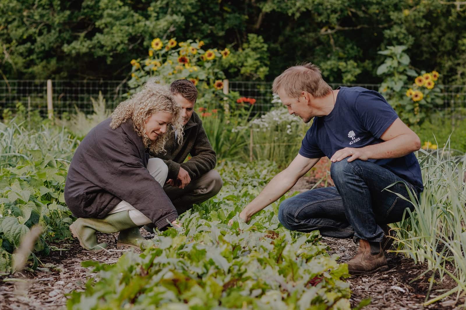 42 Acres – Wellbeing Retreat & Regenerative Farm Stay