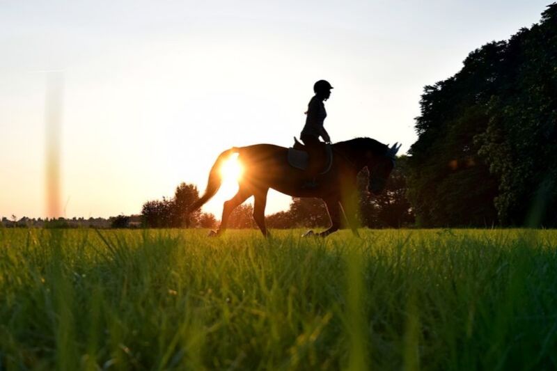 The art of Horseback Riding | Zanzibar Horse Club
