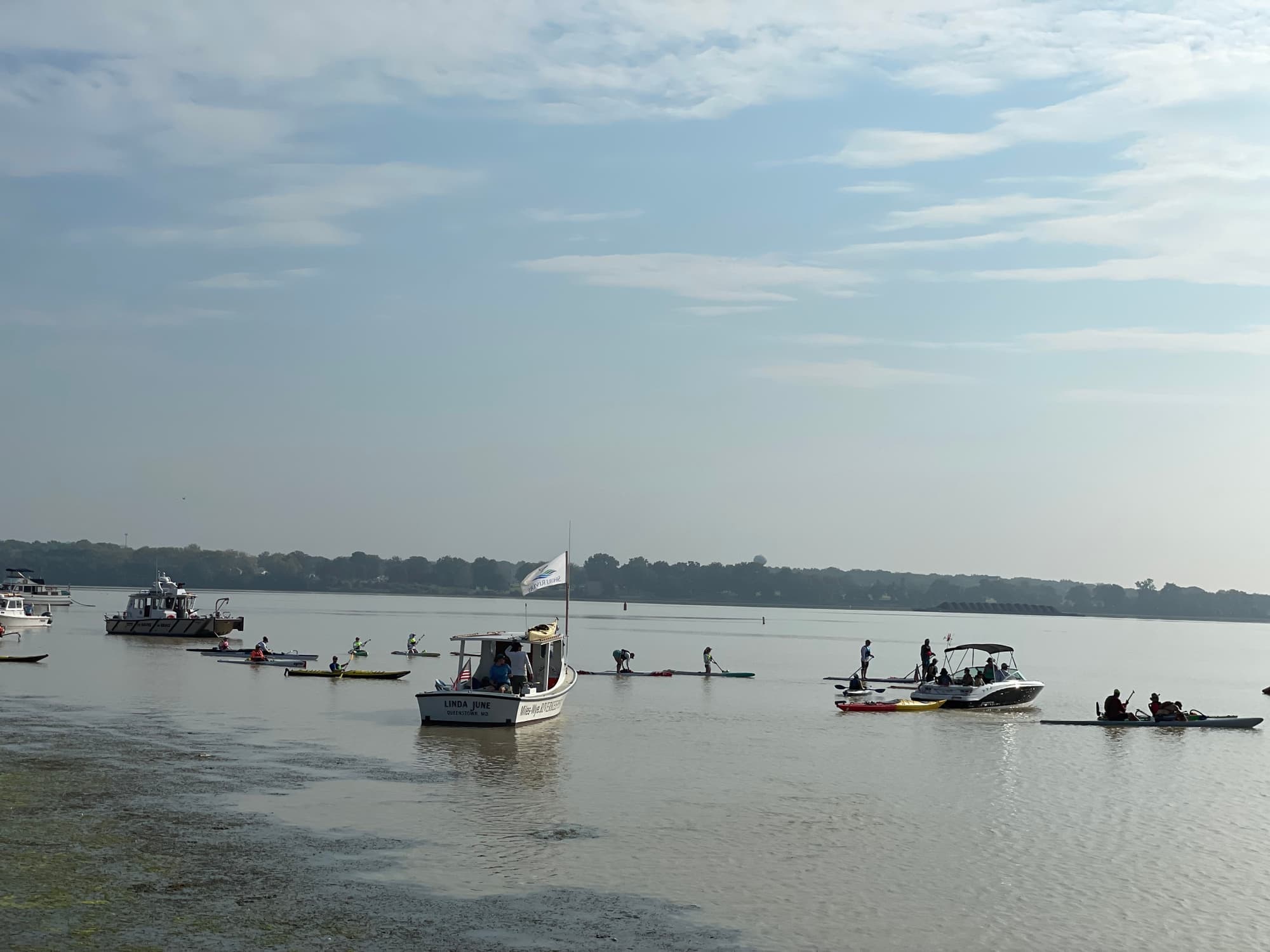 Kayak, Canoe, SUP Bay Race Event | BAY PADDLE