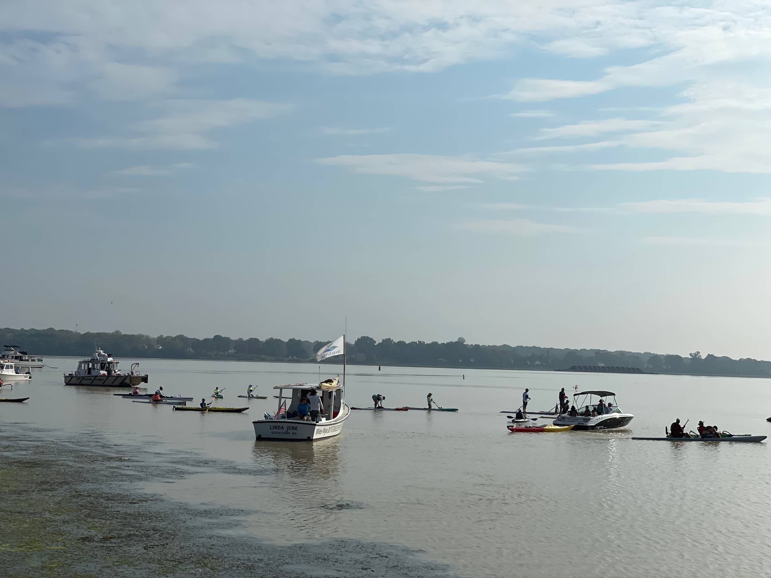 Kayak, Canoe, SUP Bay Race Event | BAY PADDLE