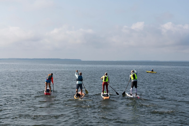 Kayak, Canoe, SUP Bay Race Event | BAY PADDLE