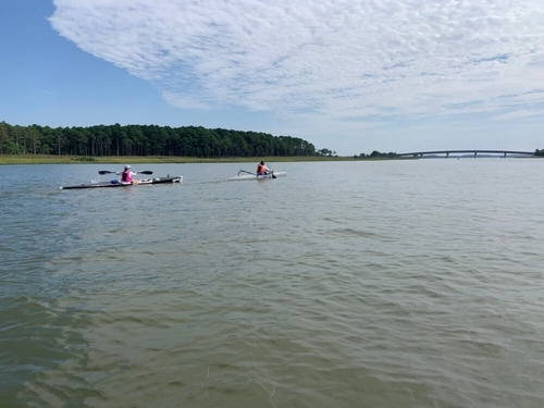 Kayak, Canoe, SUP Bay Race Event | BAY PADDLE