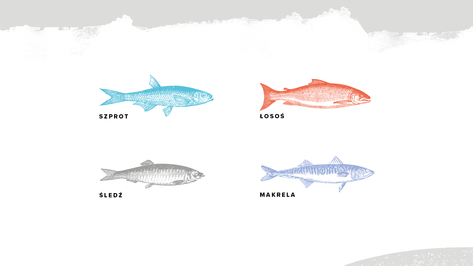 PRZEREKLAMOWANI.PL | Branding i logotypy | Fish Craft