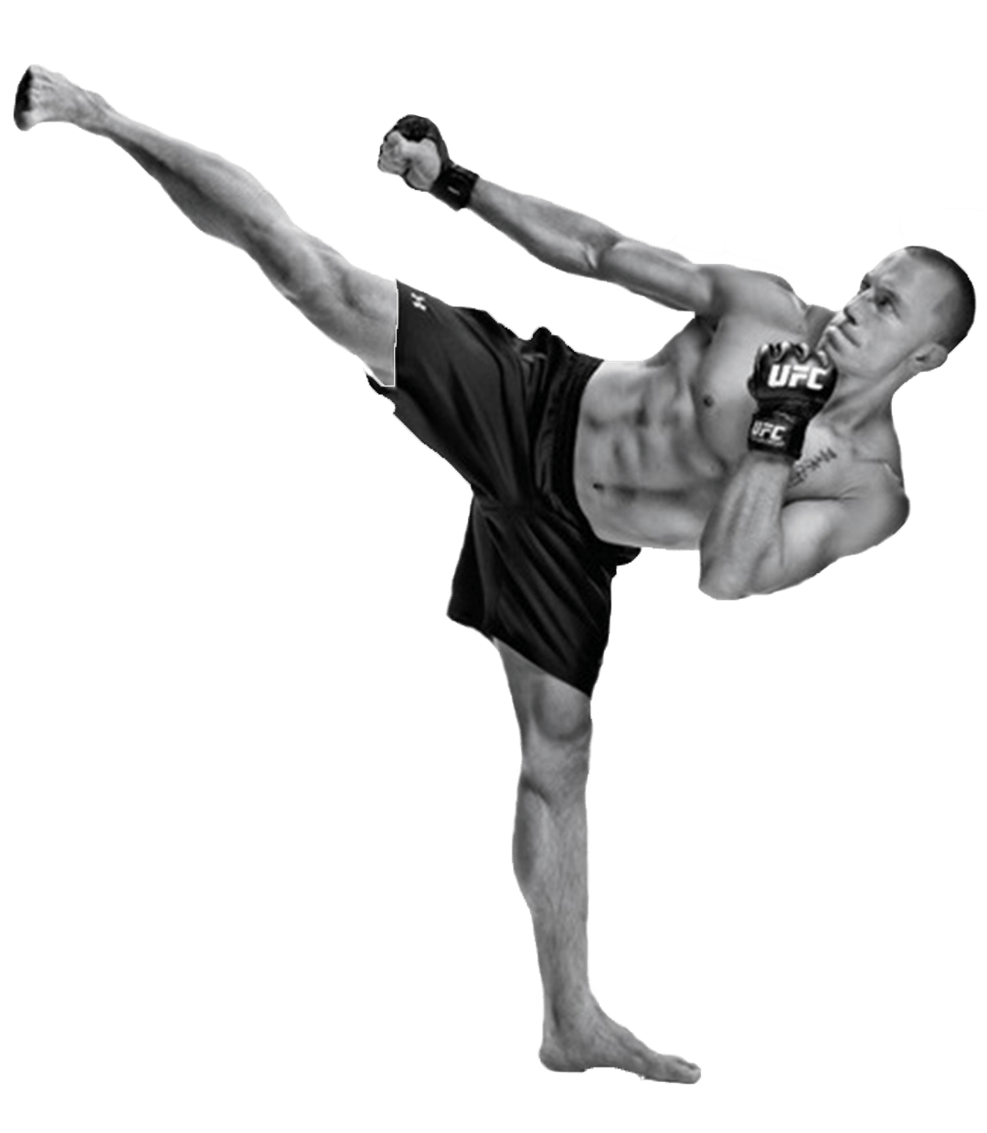 Georges St-Pierre Official Website