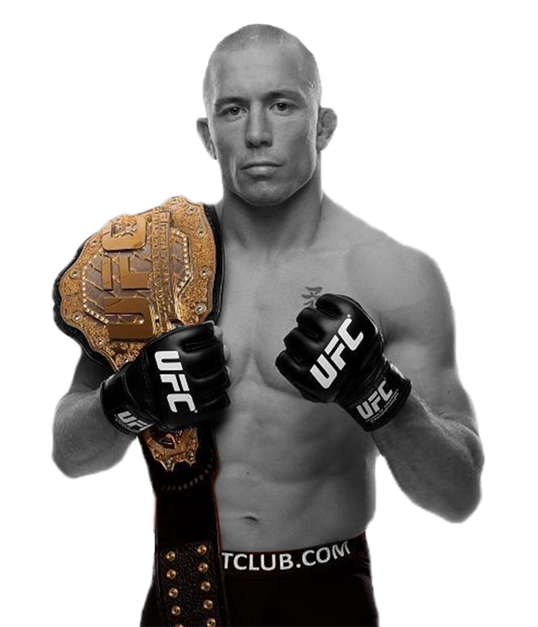 Georges St-Pierre Site Officiel