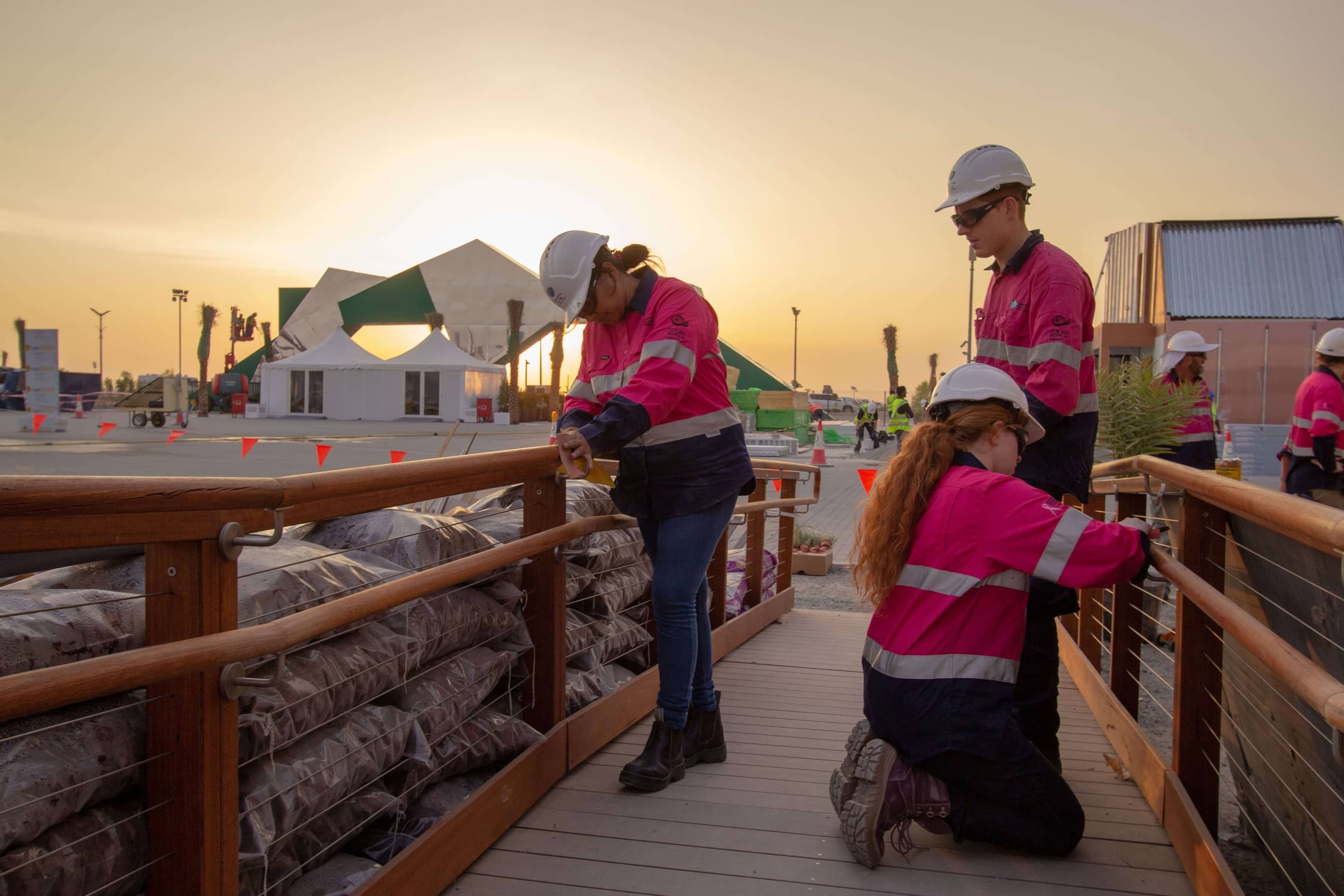 Desert Rose House Project - Summary, Articles, Photos & Videos | This ...