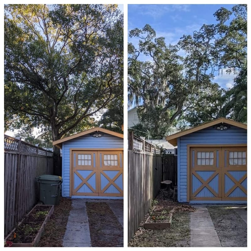 Jacob Gilliam Tree Care - Sarasota, FL | ISA Certified Arborist