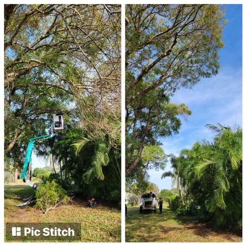 Jacob Gilliam Tree Care - Sarasota, FL | ISA Certified Arborist