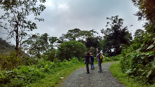 Protecting Cloud Forests in the Tropical Andes: A Lifelong Mission