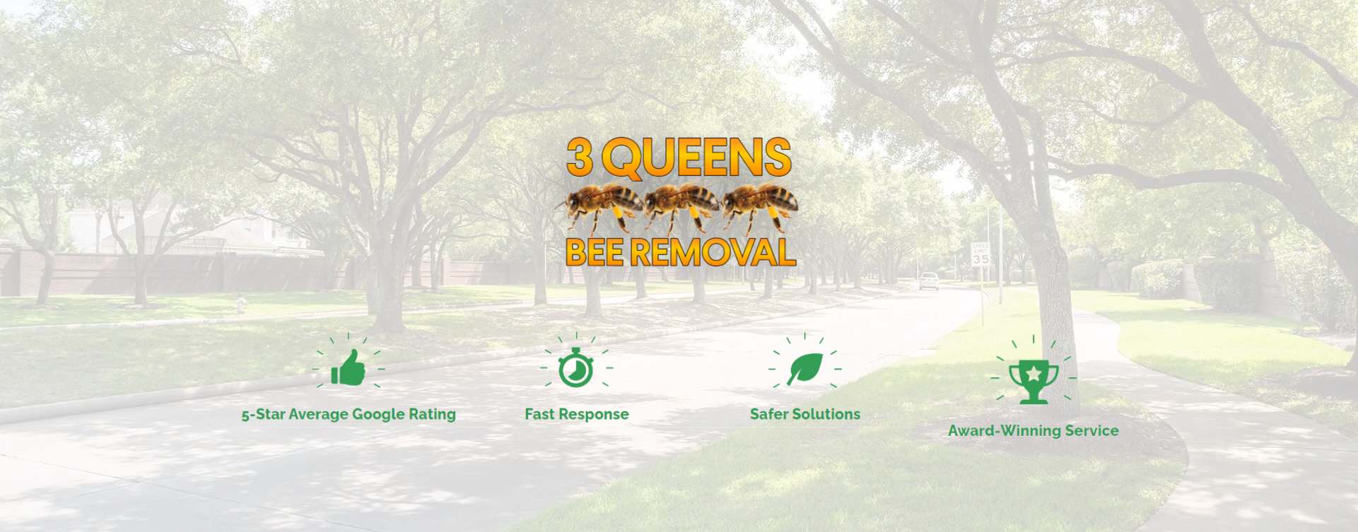 Bee Removal Services | Fast, Affordable Bees & Bee Hive Removal