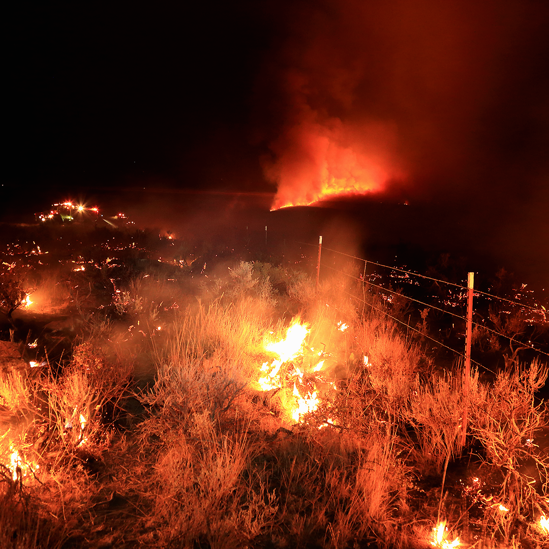 Santiago Network Project