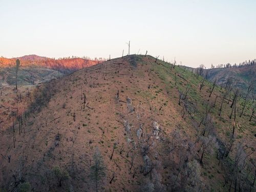 PASSED THE POINT OF NO RETURN A Non-Economic Loss and Damage Explainer