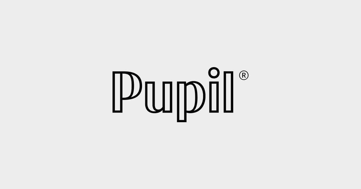 Pupil — Digitally mapping the built world
