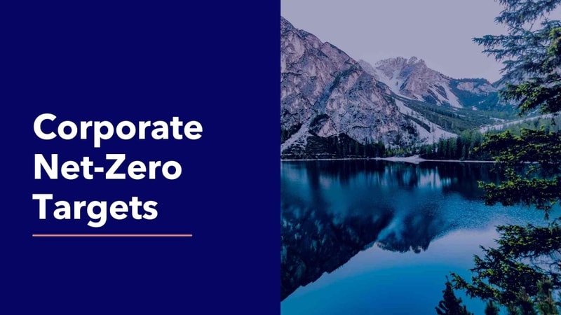 Setting Corporate Net-Zero Targets with Real Impact | Insights ...