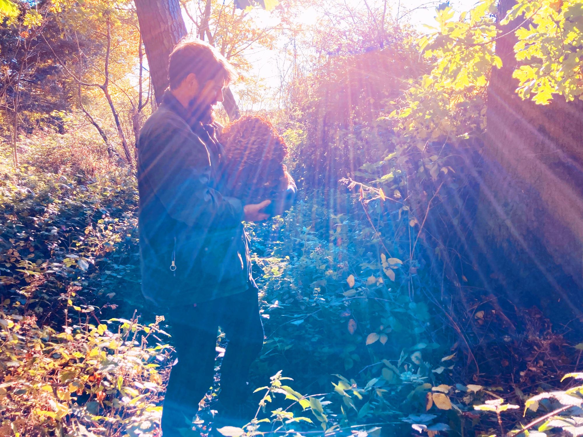 Forage Box - Foraging Workshops and Wild Food Specialists