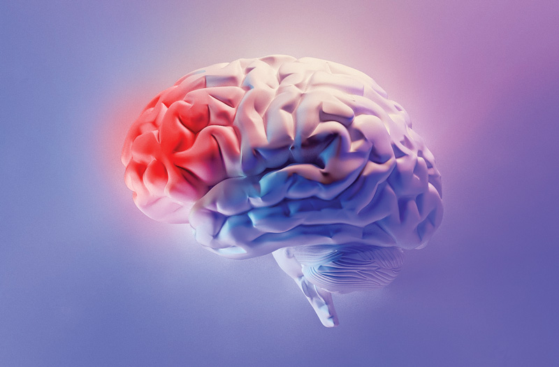 Concussion Treatment in Frankston | The Sports Injury Clinic