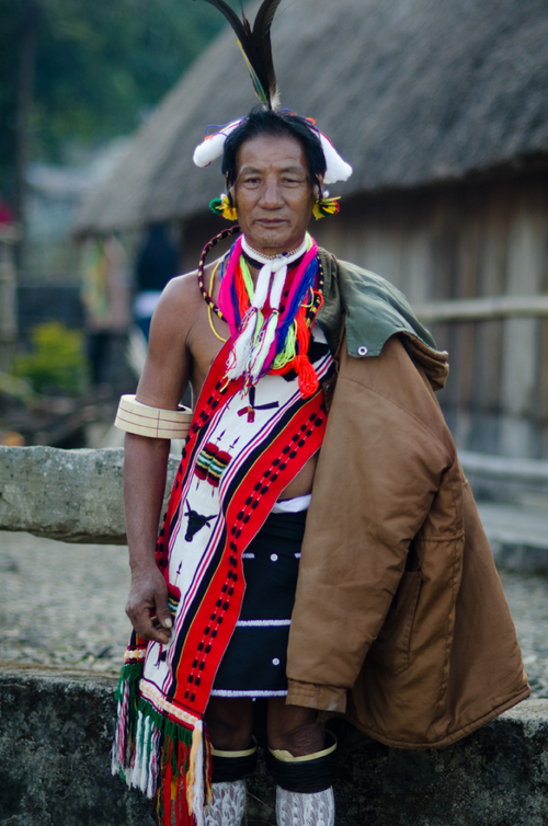 The Indegenous - Home