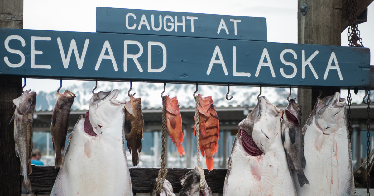 Local Resources | Alaska Coastal Explorer