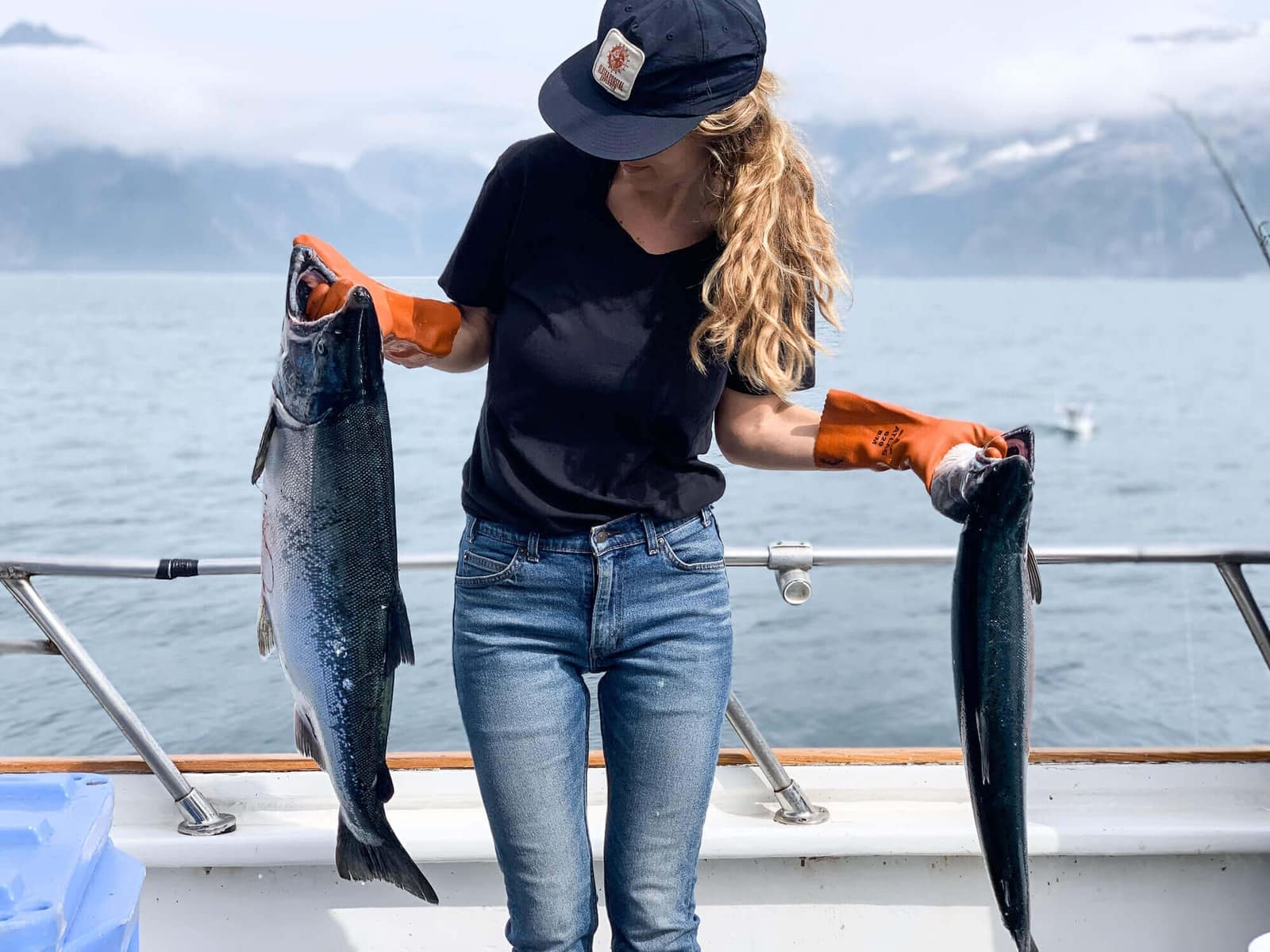 Fish & Fjord | Alaska Coastal Explorer