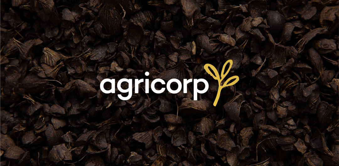 Agricorp International Brand Identity Design — Tomiwa Allan Ogunmodede.