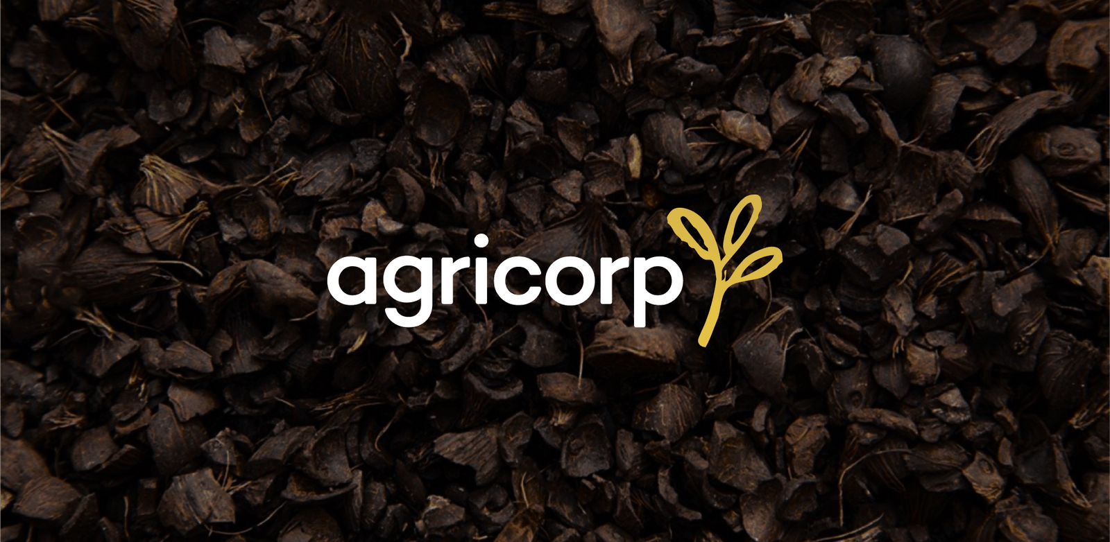 Agricorp International Brand Identity Design — Tomiwa Allan Ogunmodede.