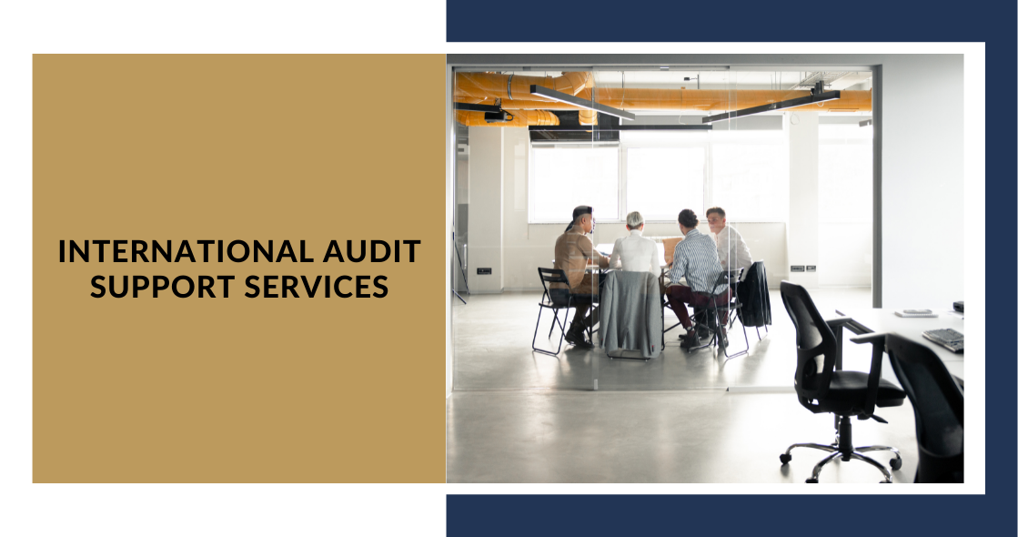 International audit support services