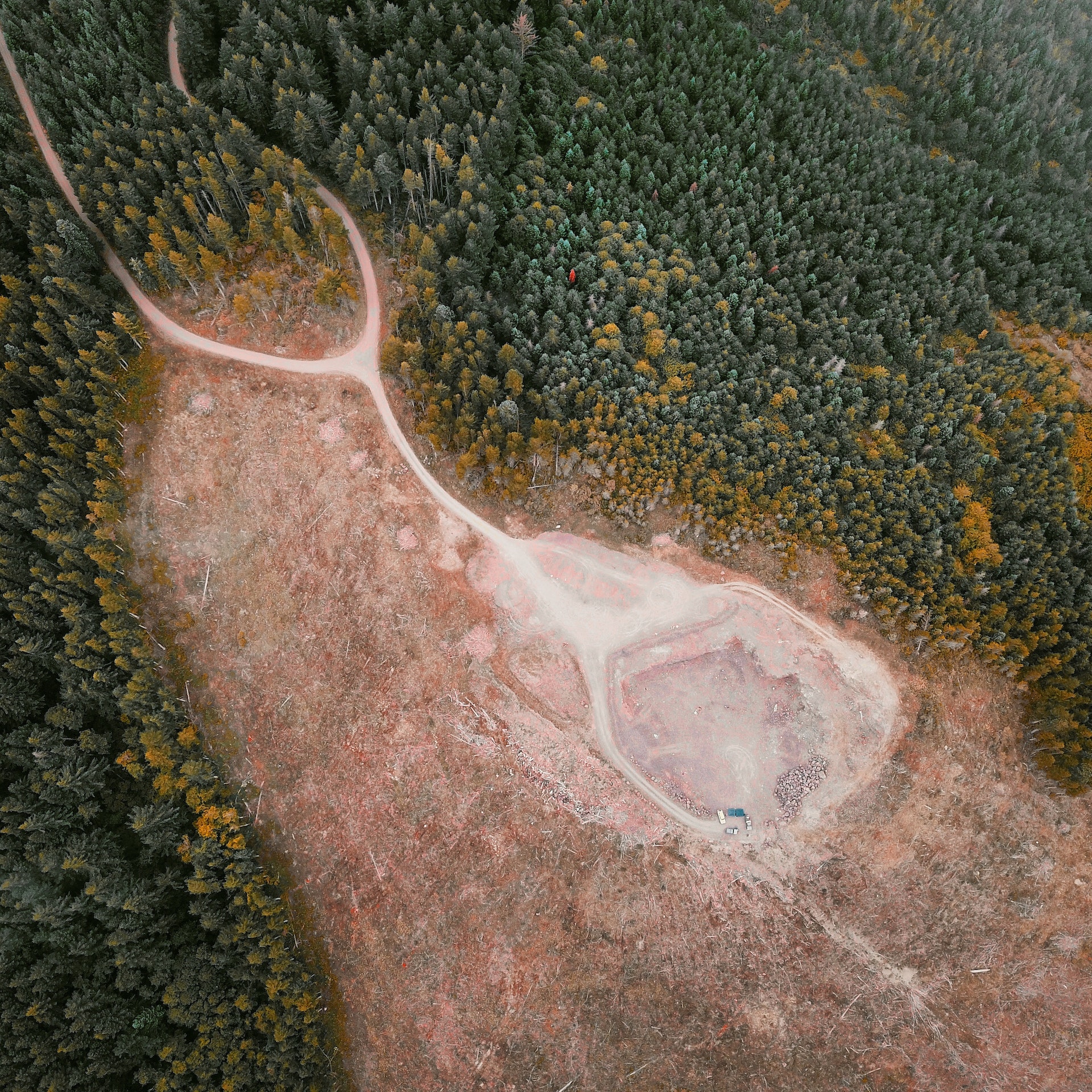 Build A Deforestation Monitoring Solution Using Satellite Imagery In 15