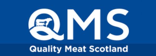 Products | Norvite Specialists in Animal Nutrition