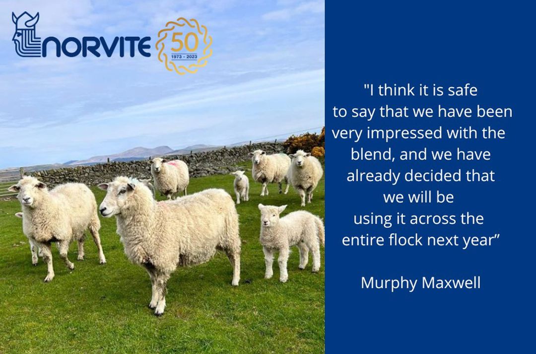 Home | Norvite Specialists in Animal Nutrition