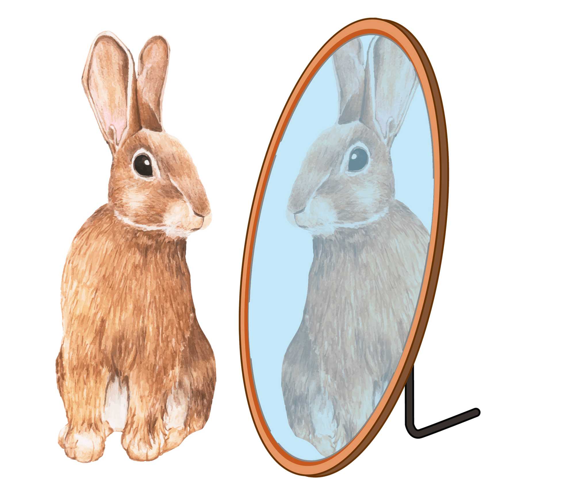 La rima del conejo