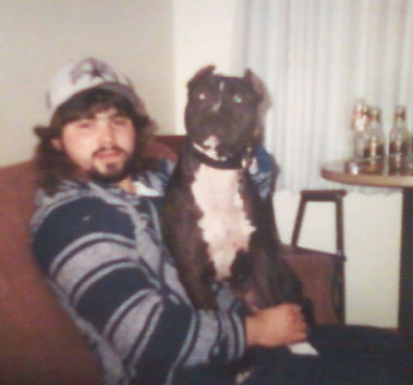 History of the original bully bloodline | Best American Bully Breeders