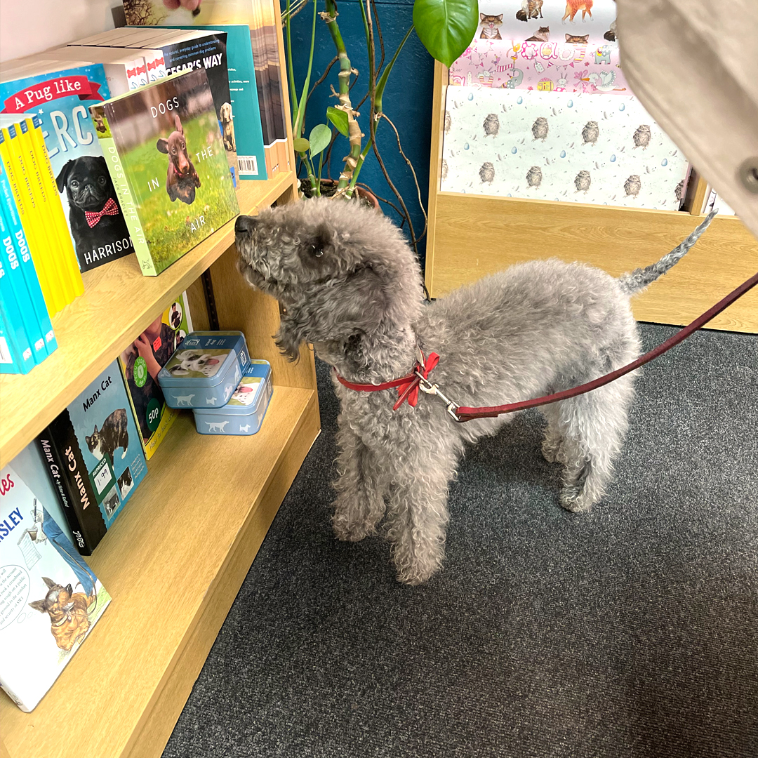 High Peak Bookstore & Cafe