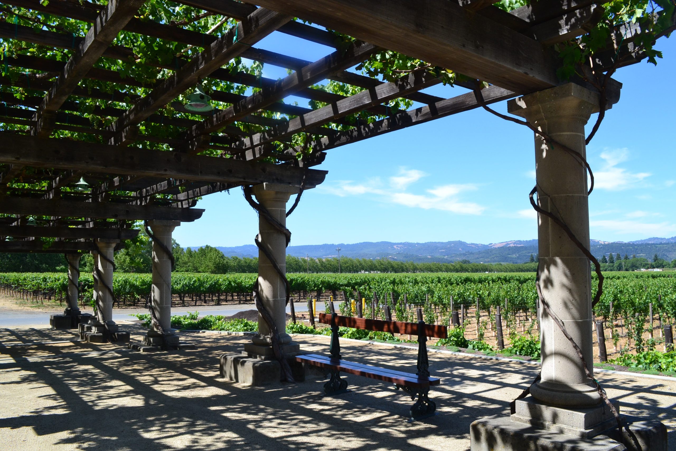 7 Overlooked Buildings: The Architecture of Wineries 🍷 | PocketBuildings