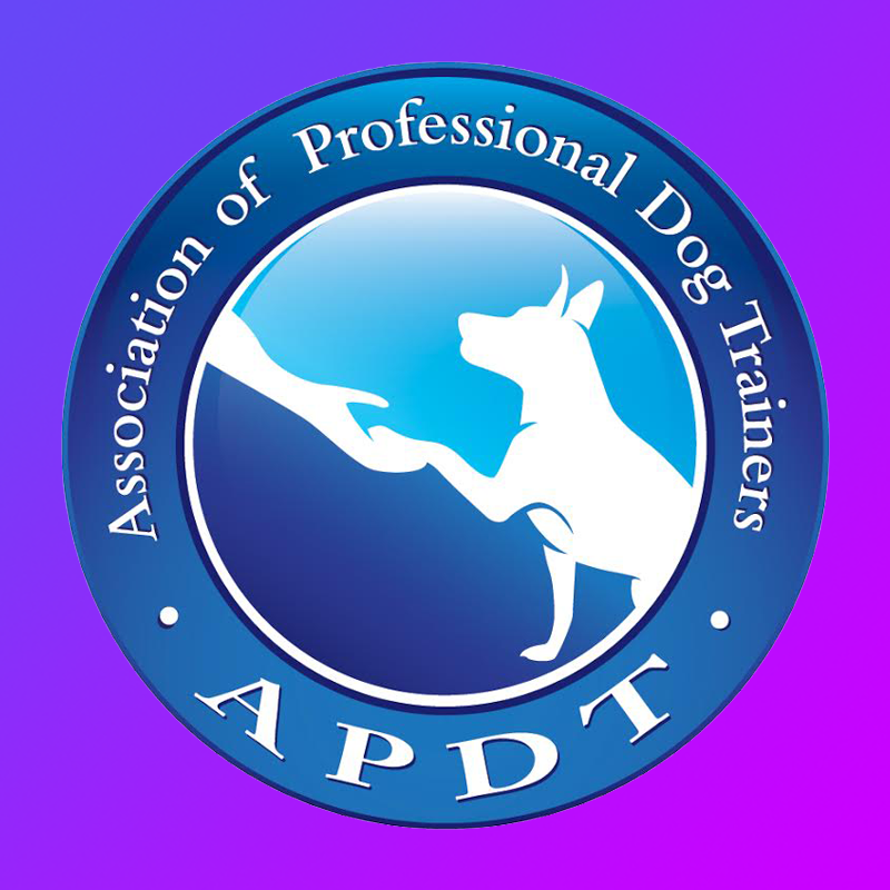 BusyPaws Attending the 2021 APDT/CAPDT Conference