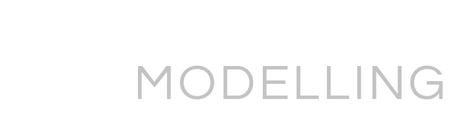 Transport Modelling