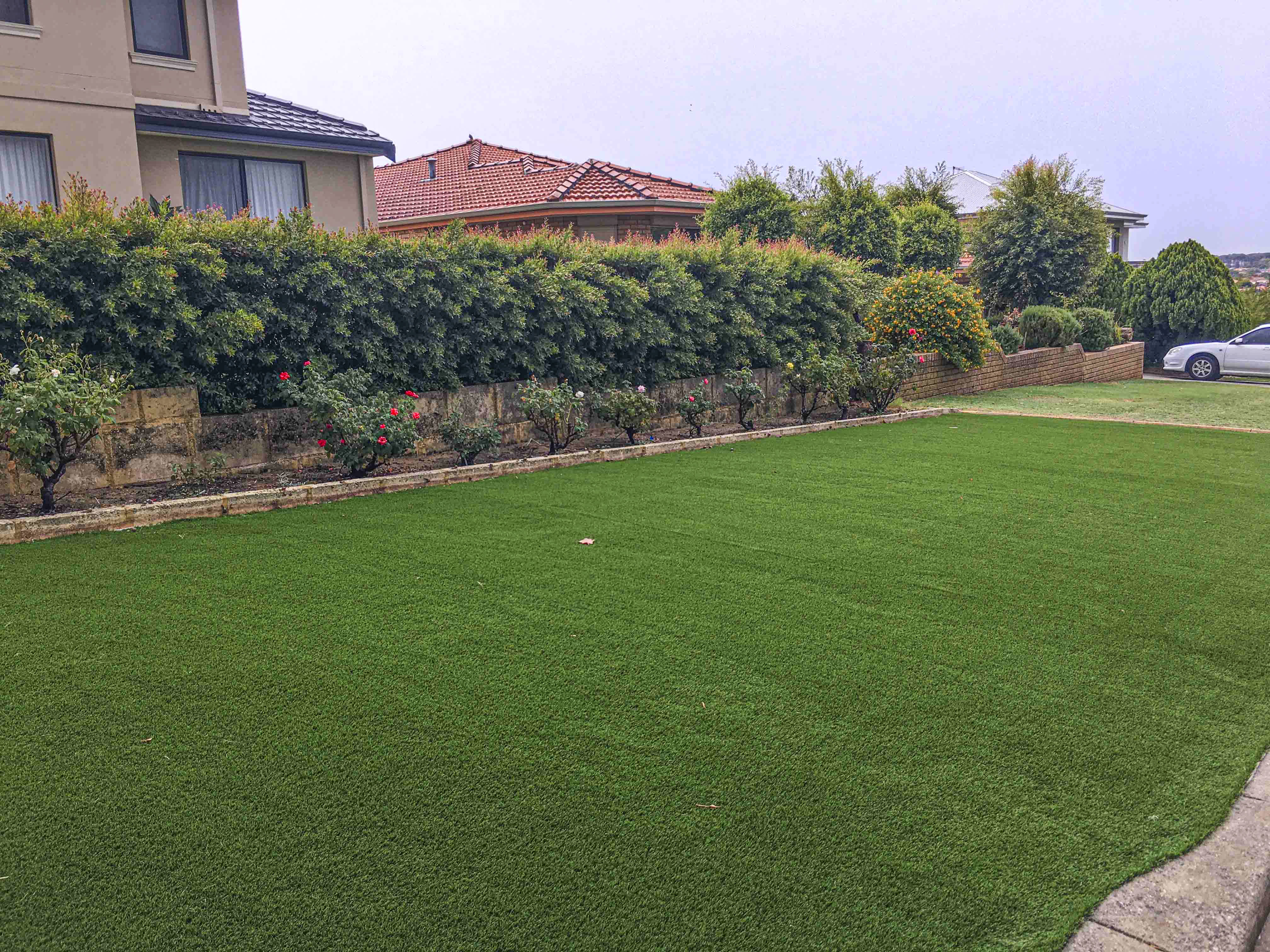 Viridian | Tauro Turf Perth