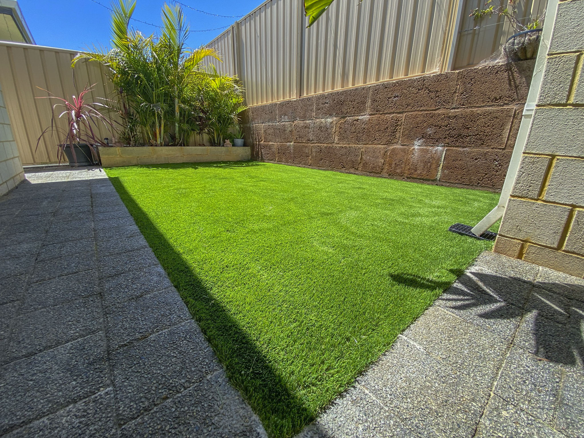 Viridian | Tauro Turf Perth