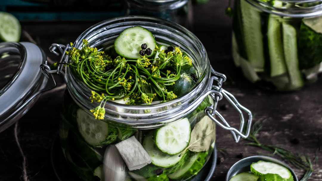 WellTheory | Autoimmune Care Revolutionized