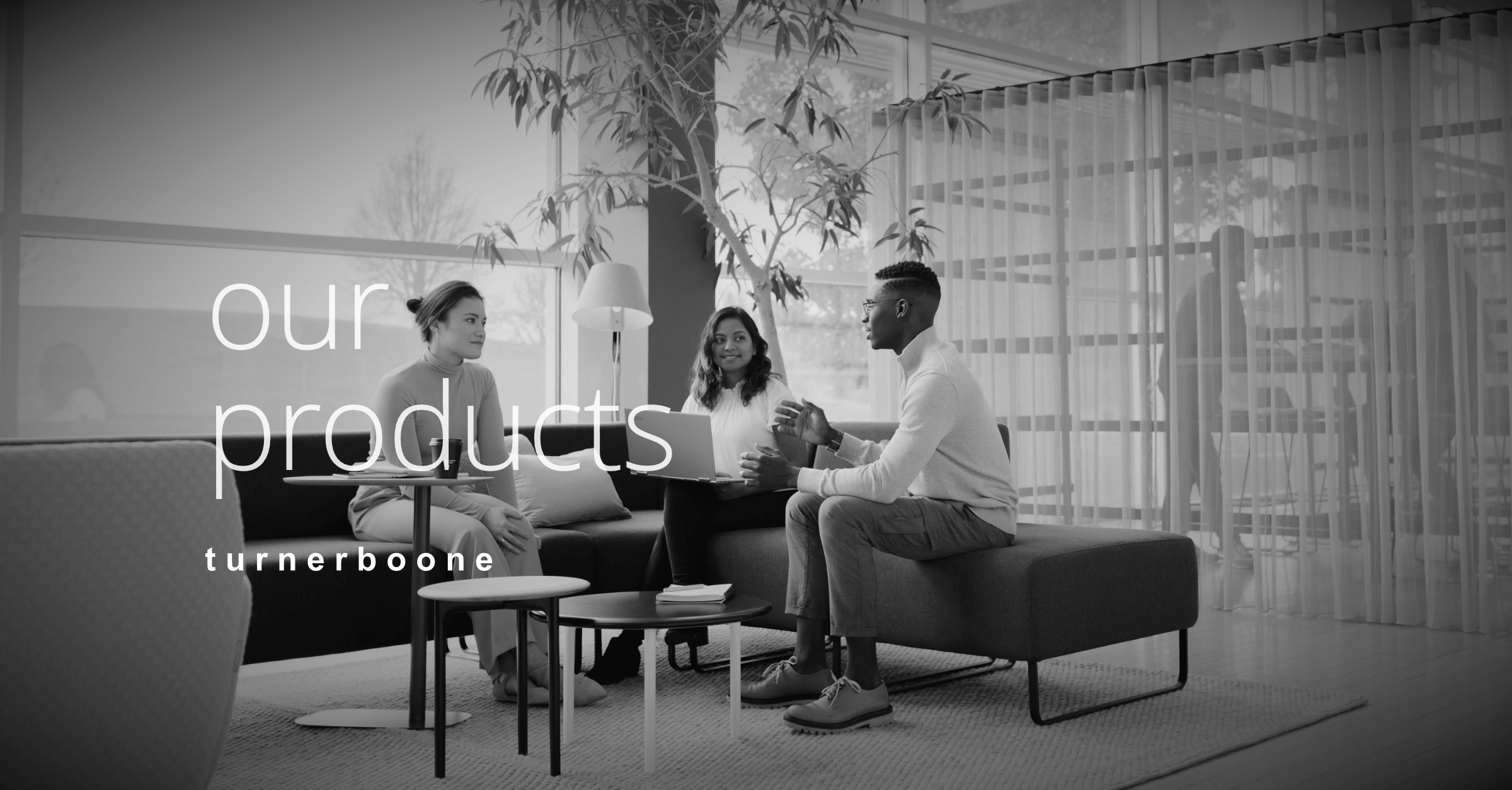 Products | turnerboone