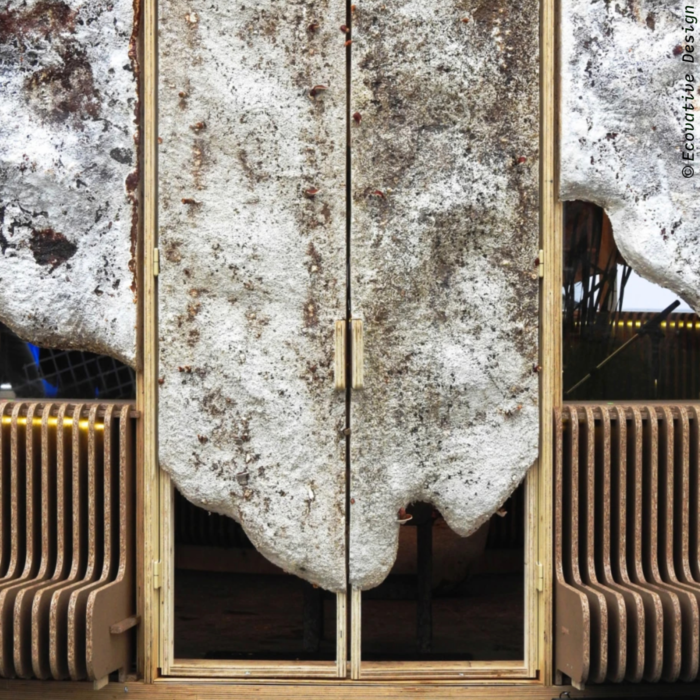 Hemp & mycellium composite matter~HauteMatter