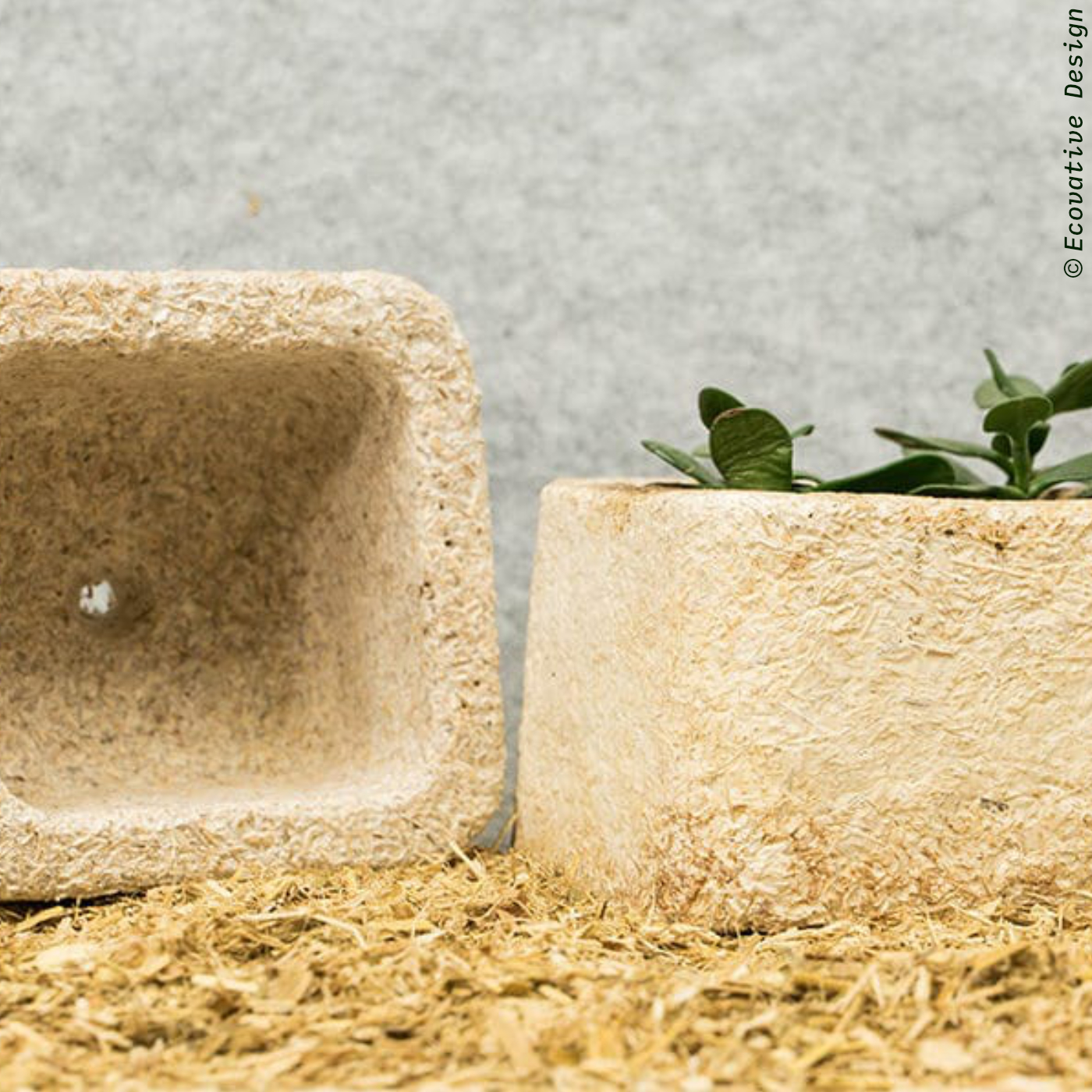 Hemp & mycellium composite matter~HauteMatter