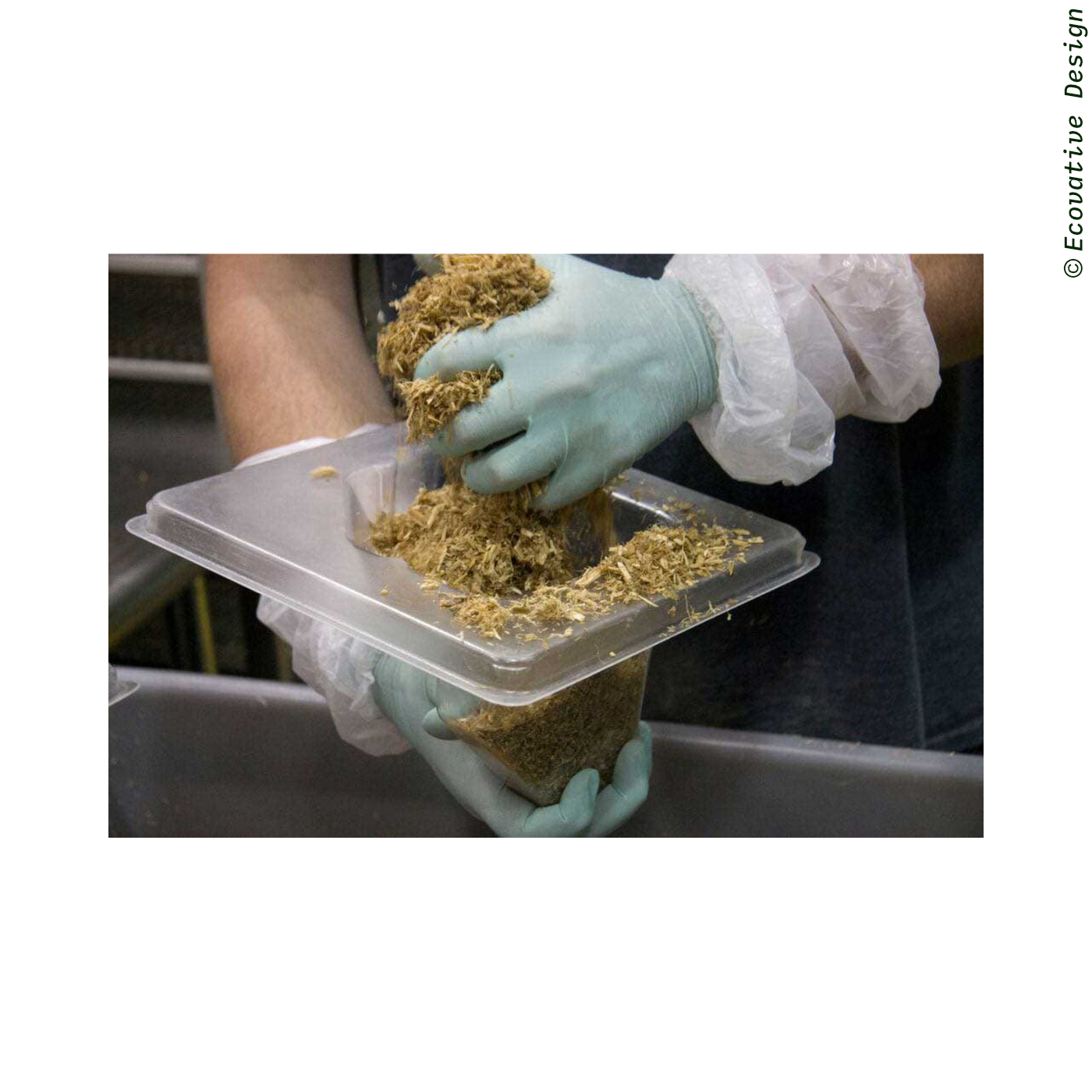 Hemp & mycellium composite matter~HauteMatter