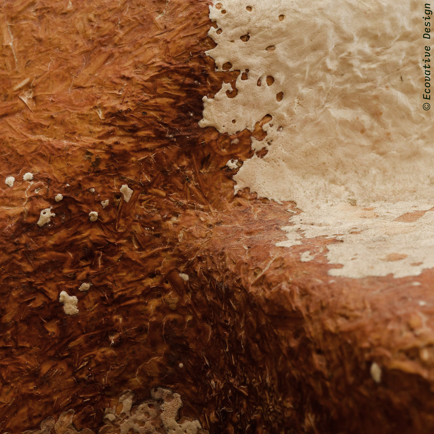 Hemp & mycellium composite matter~HauteMatter