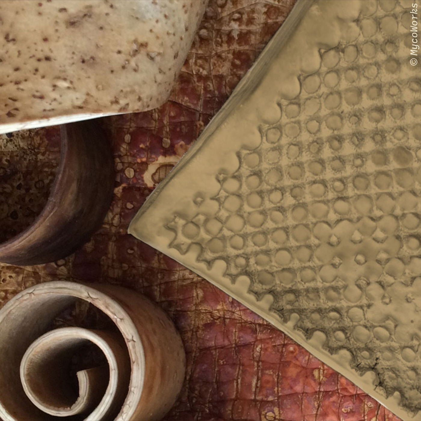 Custom-grown mycellium sheets~HauteMatter