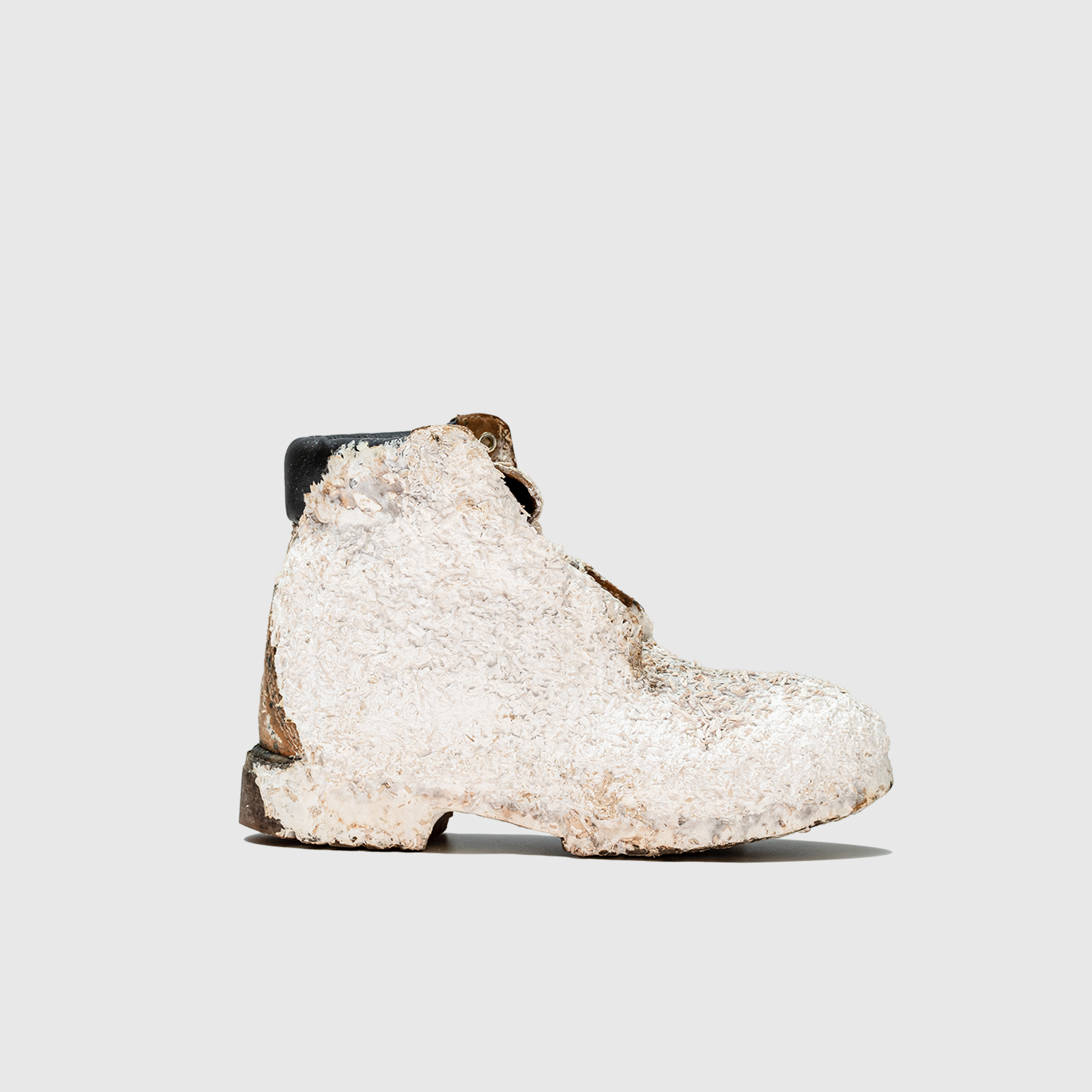Mycellium taking over Timberlands~HauteMatter