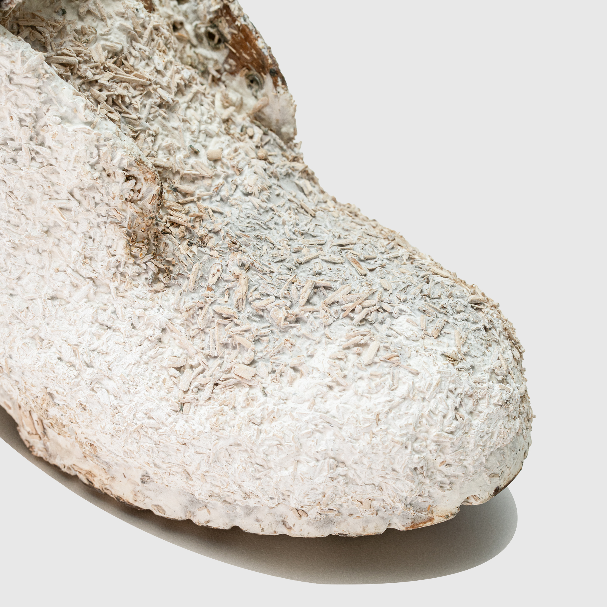 Mycellium taking over Timberlands~HauteMatter