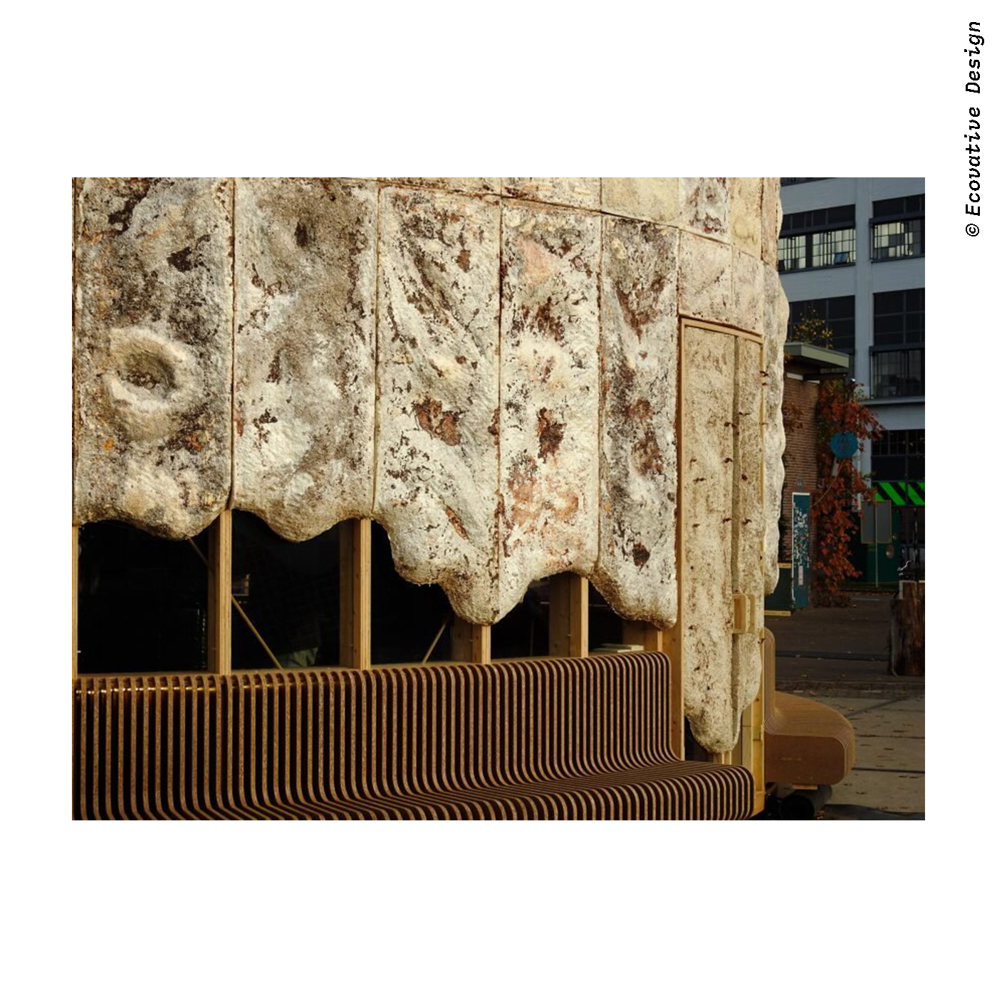 Hemp herd and mycelium composite GIY material~HauteMatter