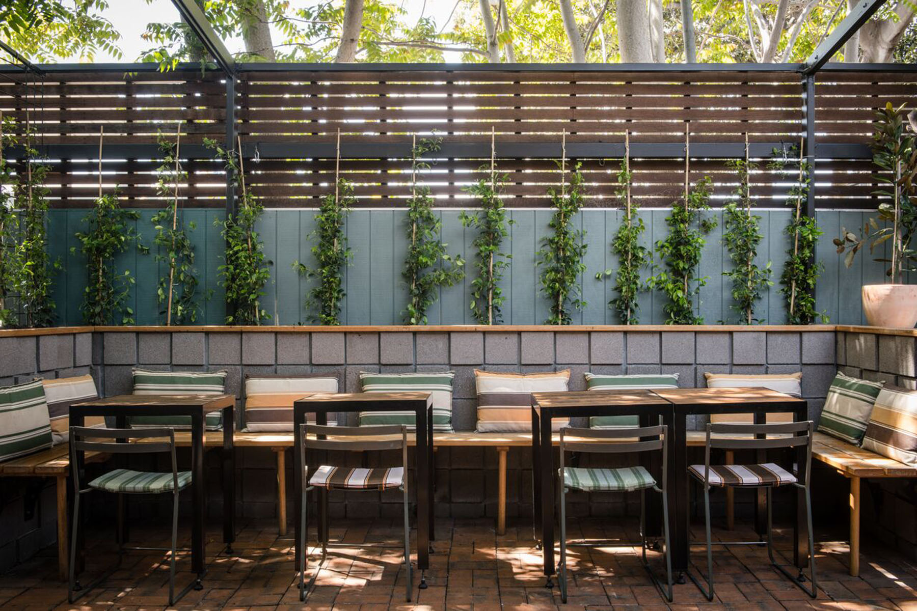 Welcome | Mount Erica Hotel