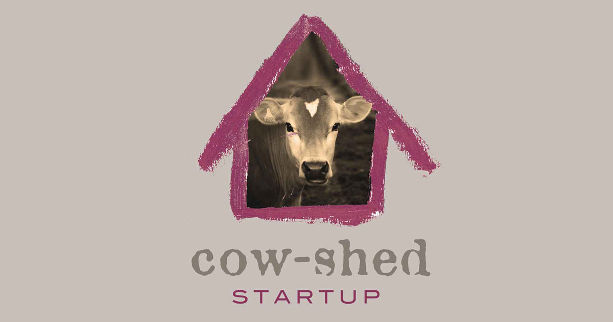 Cow-Shed Business Startup Support Guildford Surrey